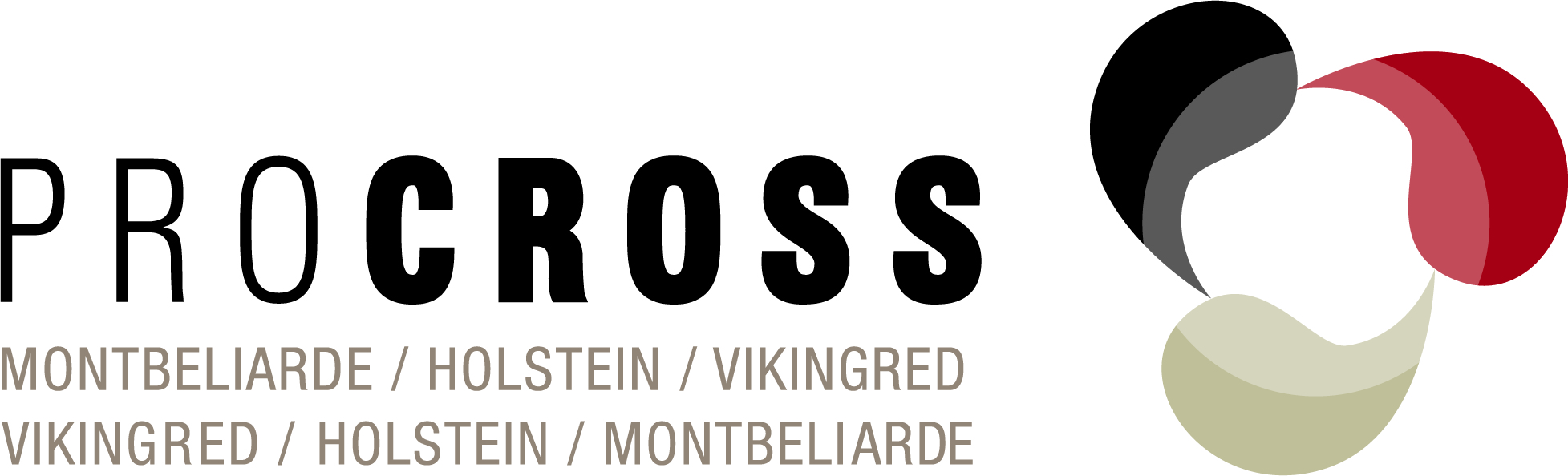 ProCROSS: the most efficient cross breeding system for dairy cows