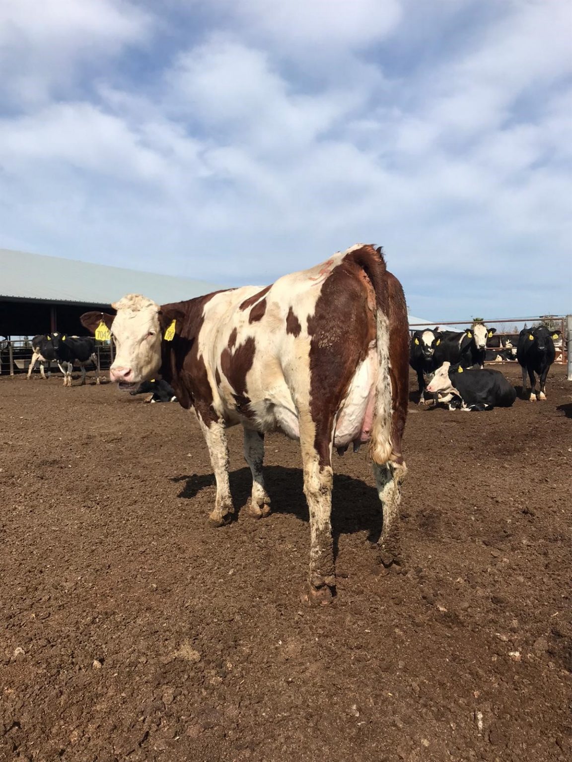 ProCROSS Pioneers Tour 2020 - ProCROSS: the most efficient cross ...