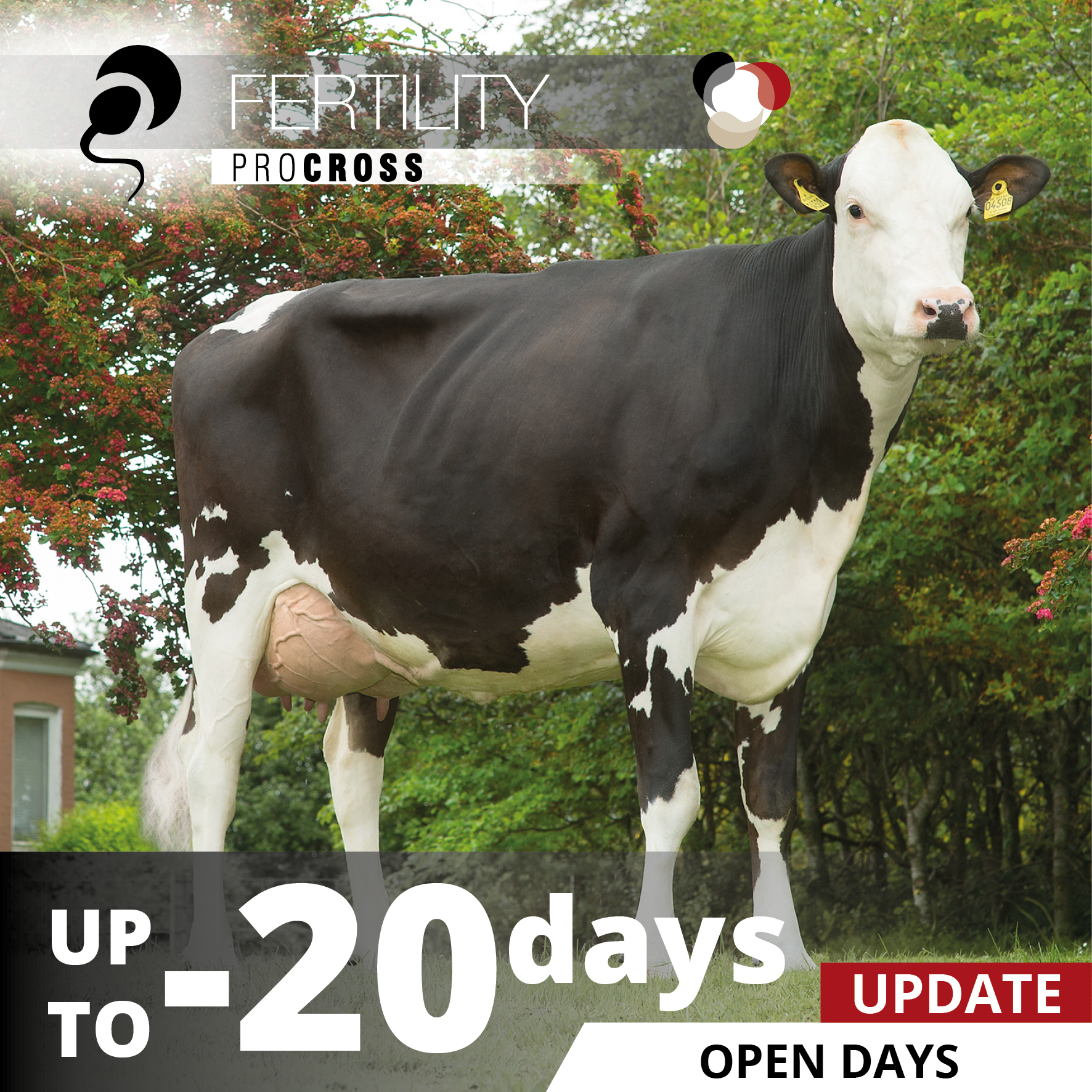 ProCROSS Advantages - ProCROSS: the most efficient cross breeding ...