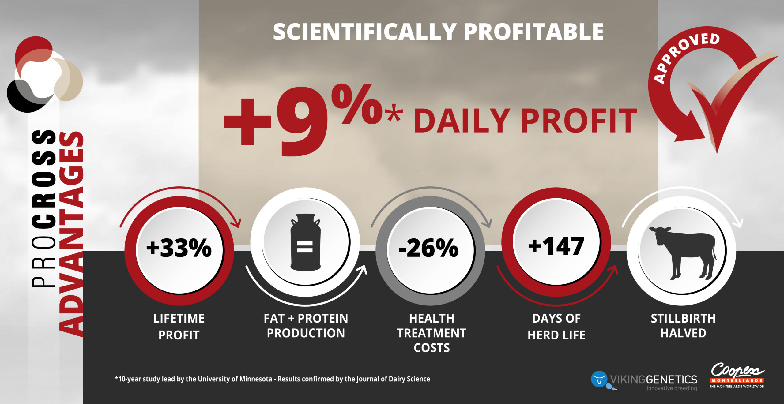 The 3-way crossbreeding system - ProCROSS: the most efficient cross breeding system for dairy cows