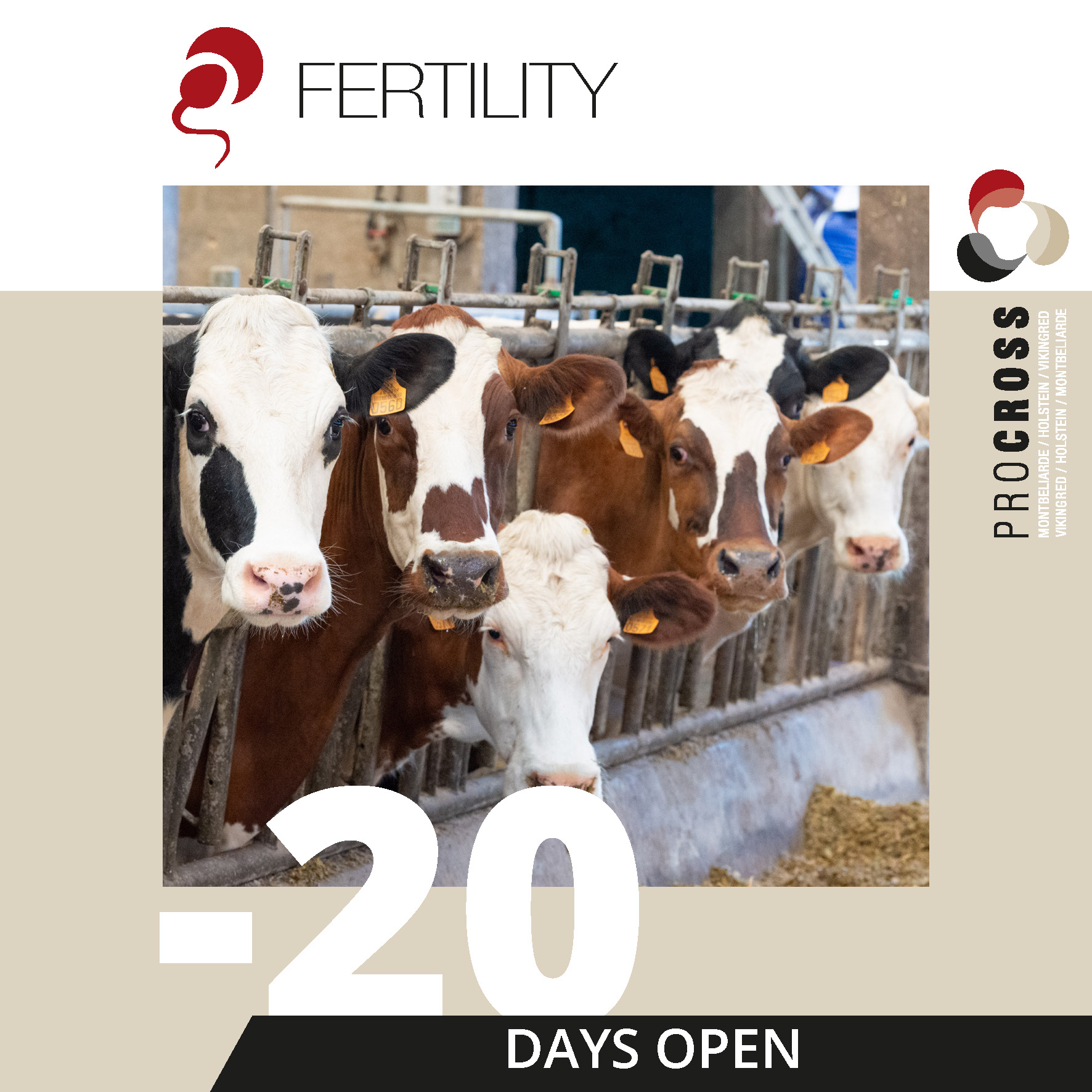 ProCROSS Advantages - ProCROSS: the most efficient cross breeding ...