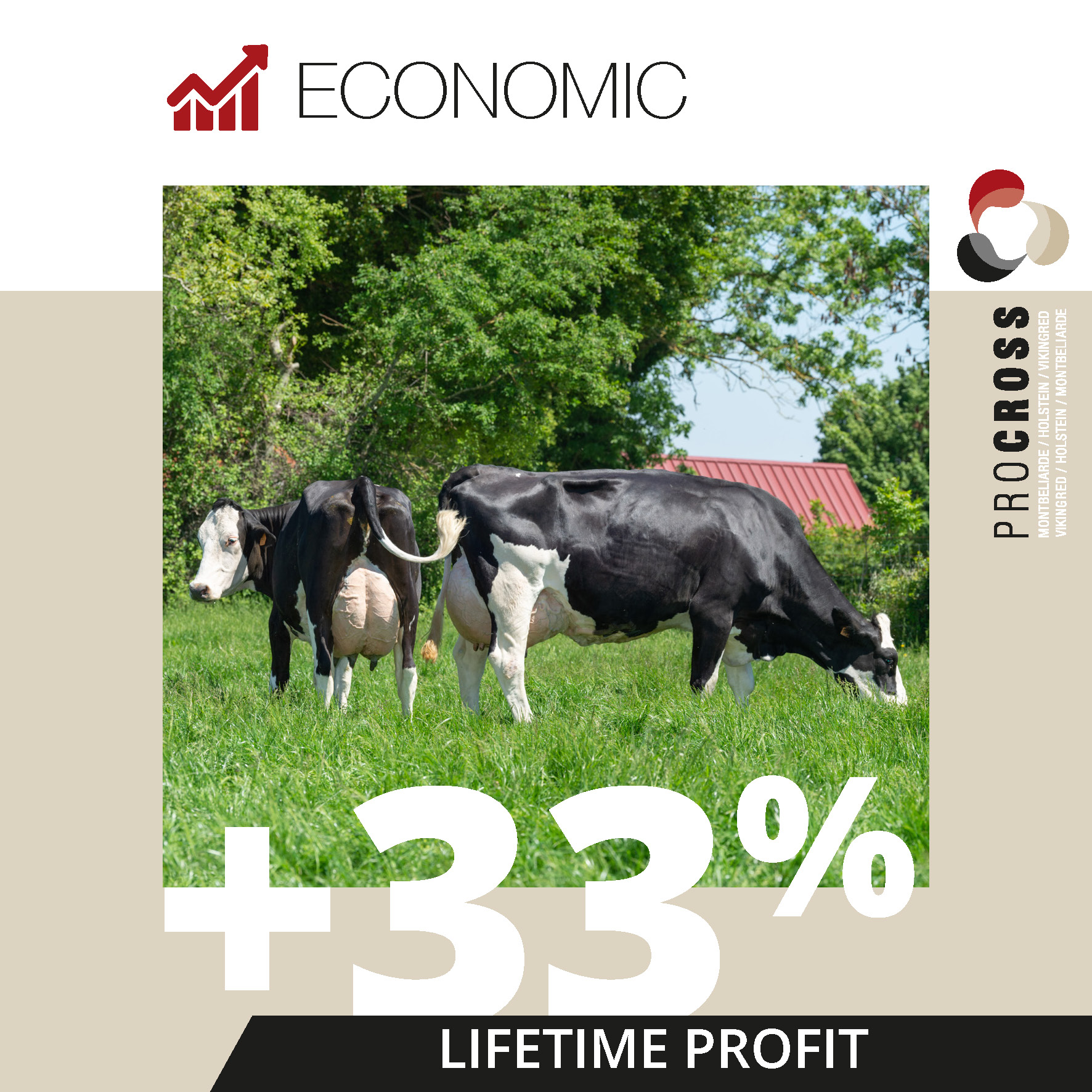 ProCROSS Advantages - ProCROSS: the most efficient cross breeding ...