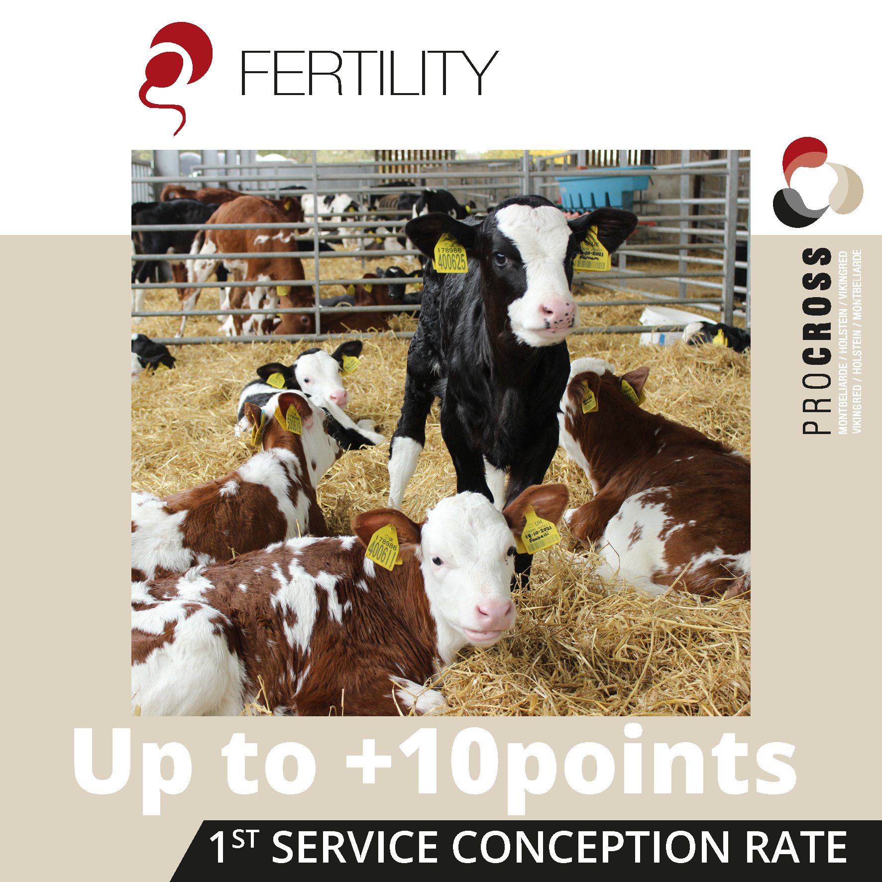 ProCROSS Advantages - ProCROSS: the most efficient cross breeding system for dairy cows