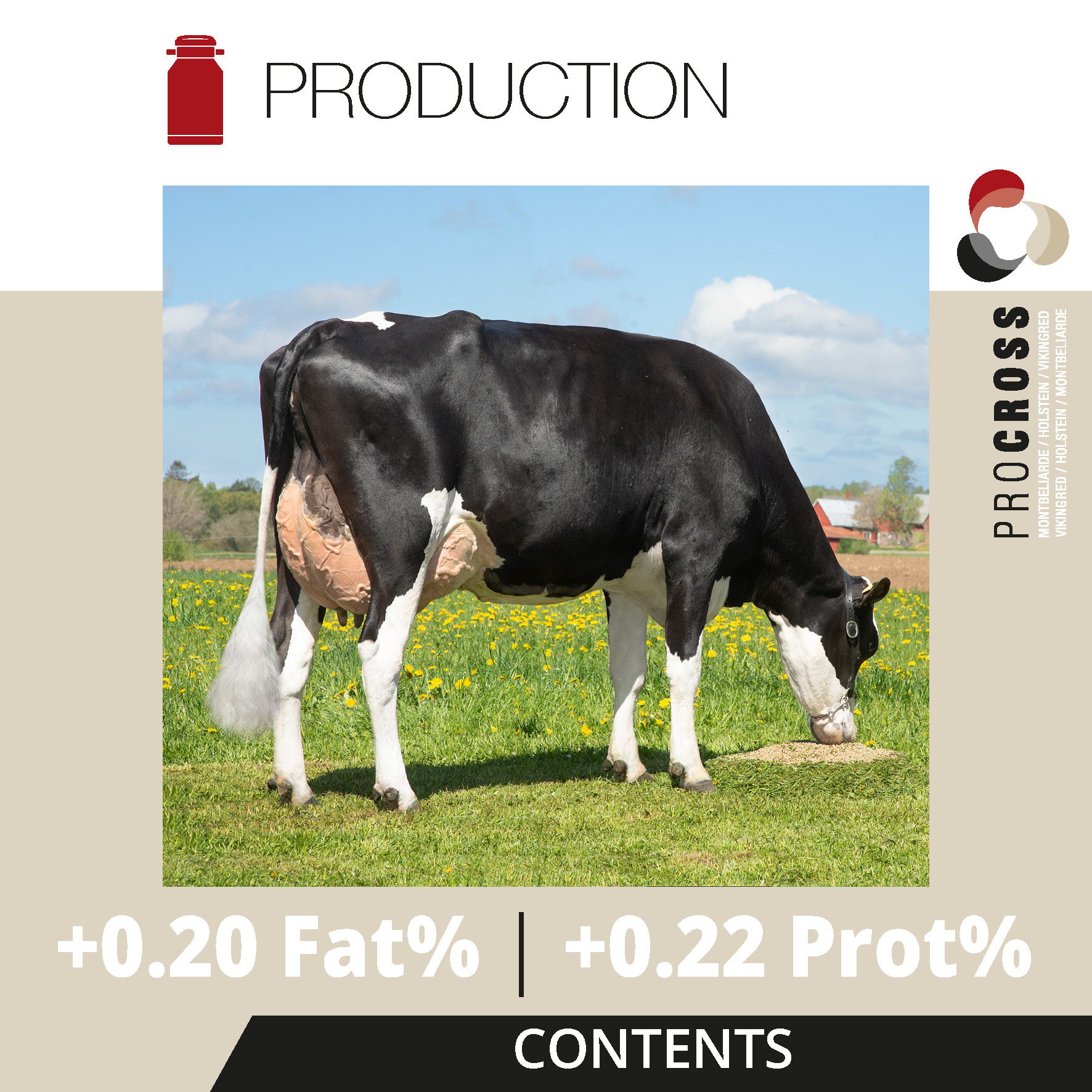 ProCROSS Advantages - ProCROSS: the most efficient cross breeding system for dairy cows
