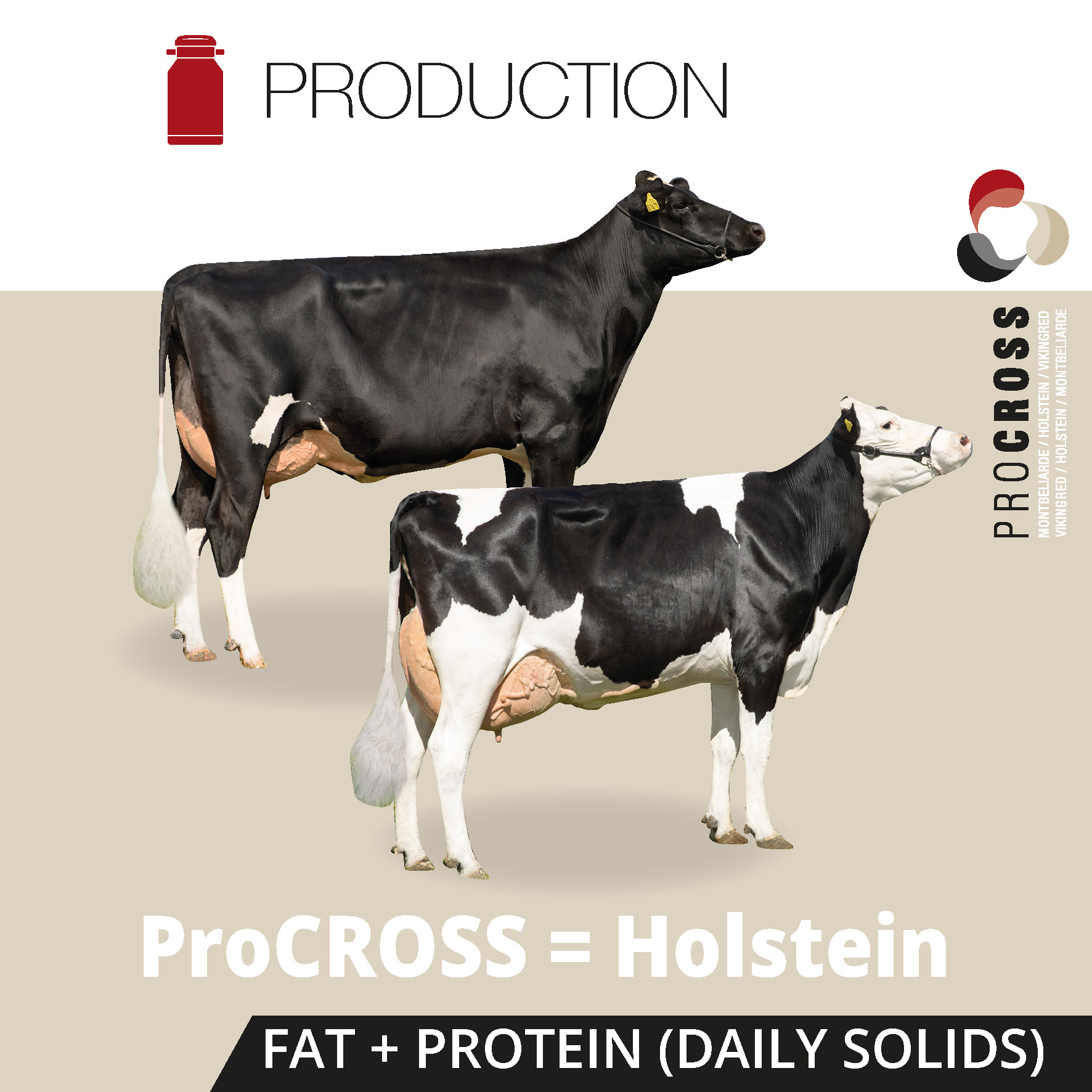 ProCROSS Advantages - ProCROSS: the most efficient cross breeding system for dairy cows