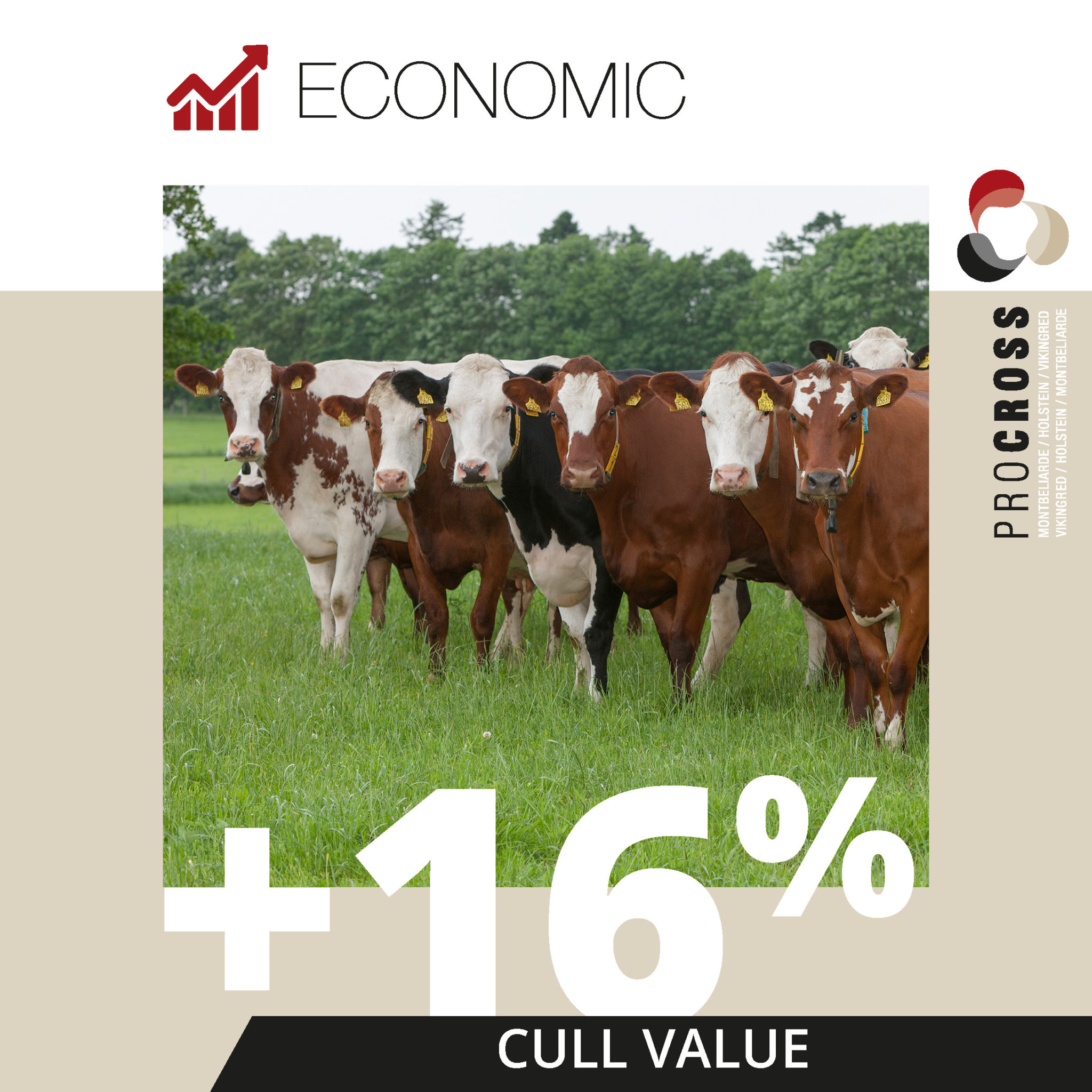 ProCROSS Advantages - ProCROSS: the most efficient cross breeding ...