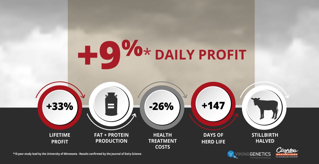 ProCROSS: the most efficient cross breeding system for dairy cows