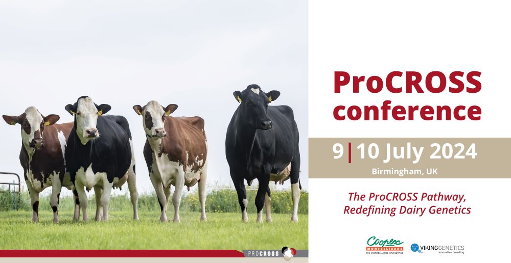 ProCROSS: the most efficient cross breeding system for dairy cows