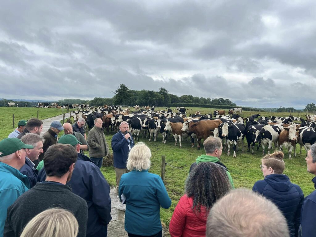 NIXON FARMS - ProCROSS: the most efficient cross breeding system for ...